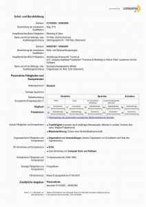 Europäischer Lebenslauf Vorlage Deutsch 20 Lebenslauf Deutsch Europass ...