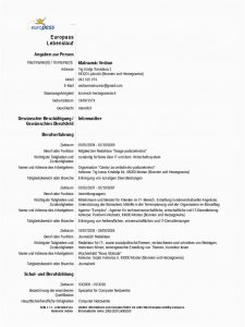Europass Lebenslauf Deutsch Doc Europass Cv Deutsch | lebenslauf