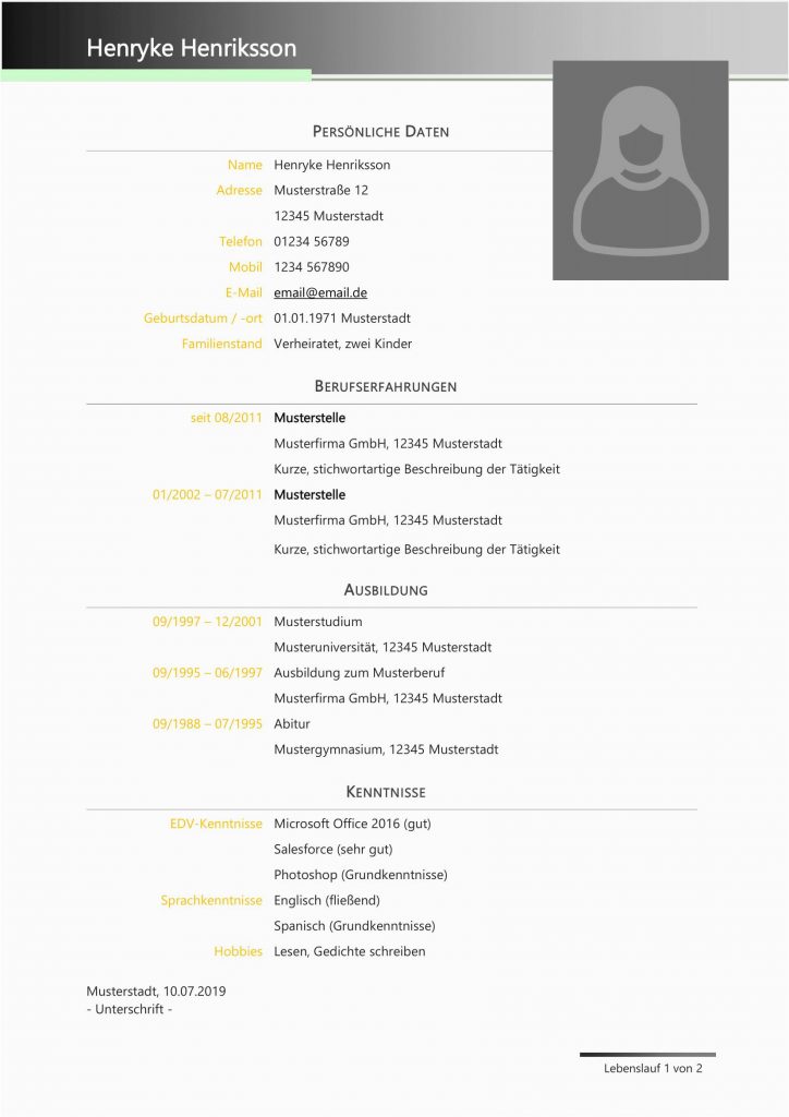 Microsoft Office Lebenslauf Vorlagen 15 Lebenslauf Vorlage Indesign ...