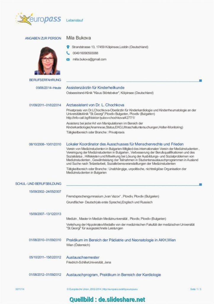 Europass Lebenslauf Deutsch Muster Europäischer Lebenslauf Vorlage Deutsch | lebenslauf